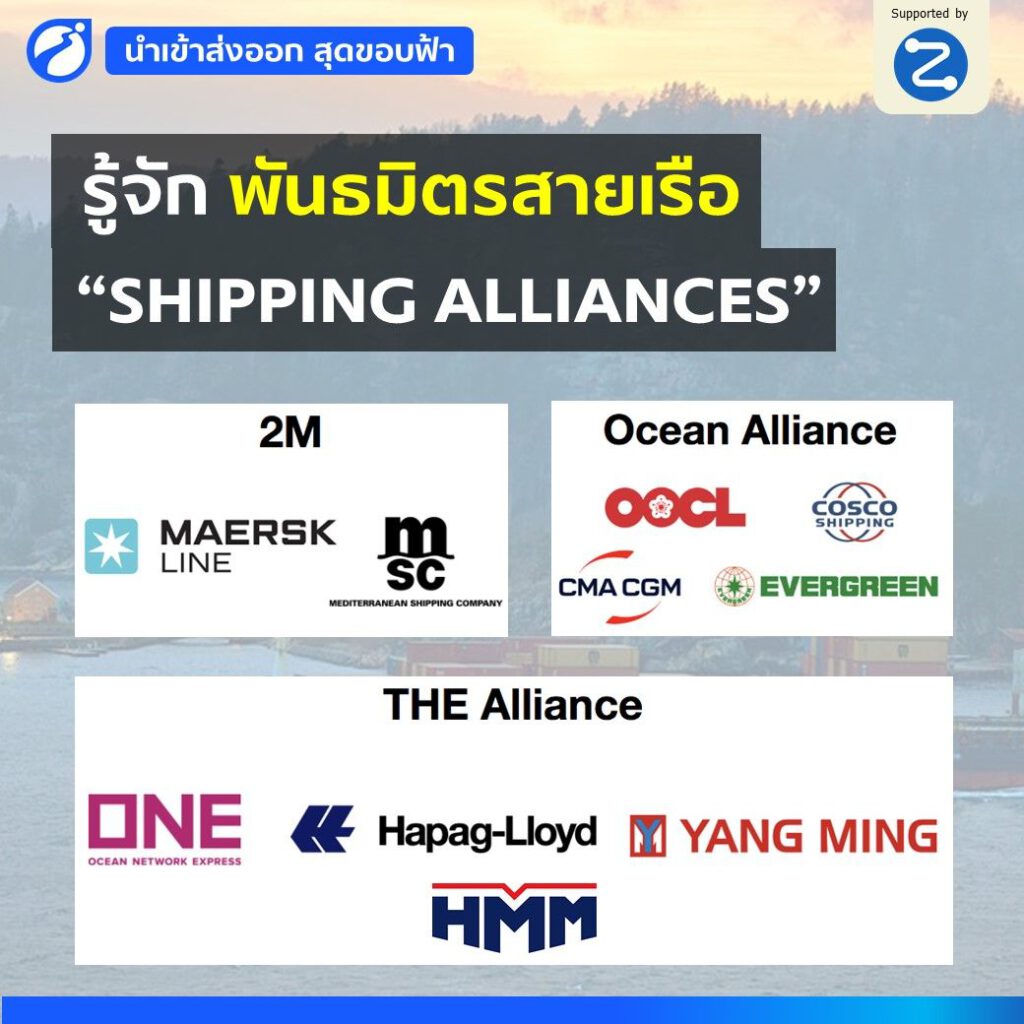 รู้จัก พันธมิตรสายเรือ “SHIPPING ALLIANCES” - ZUPPORTS